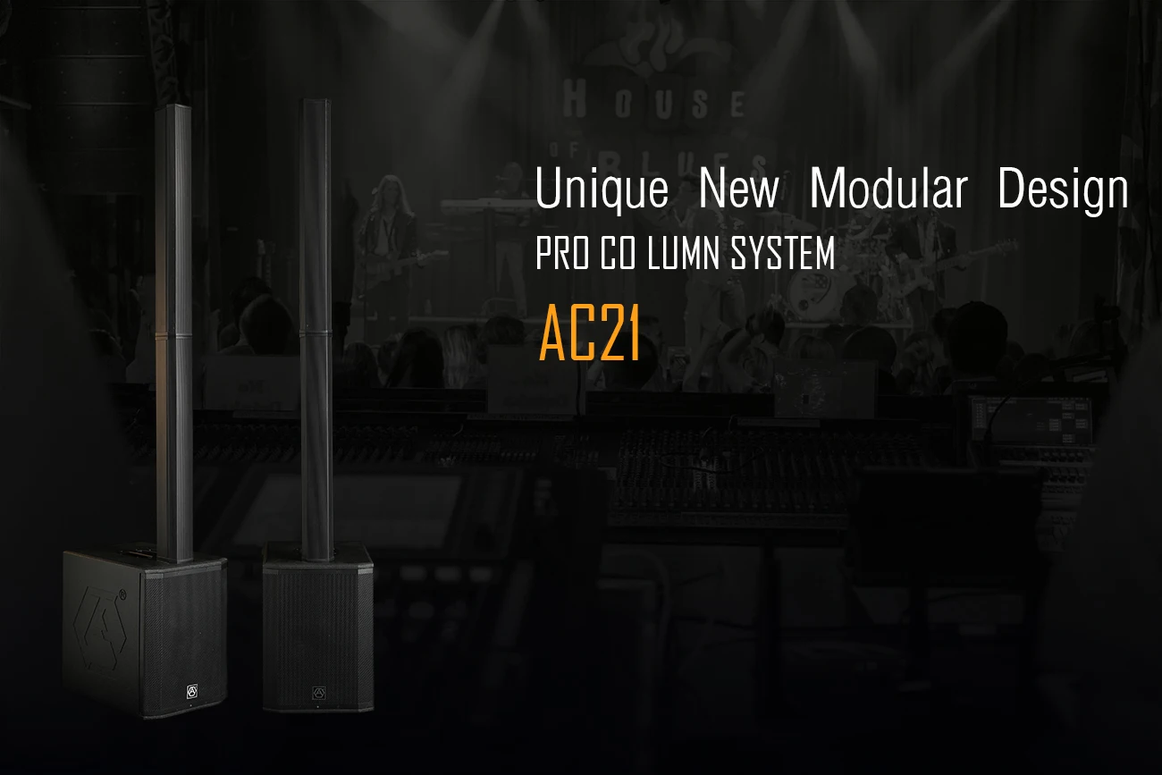 Accuracy Pro Audio AC21 - 800W Pro PA System for Outdoor