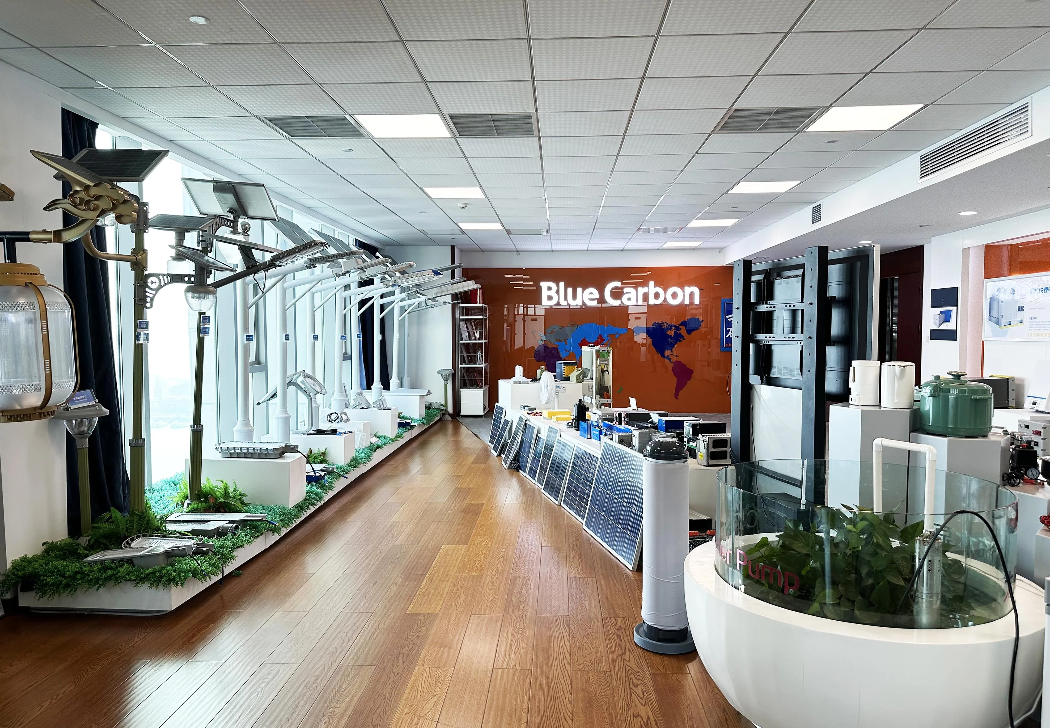 Company Overview - Blue Carbon Technology Inc.