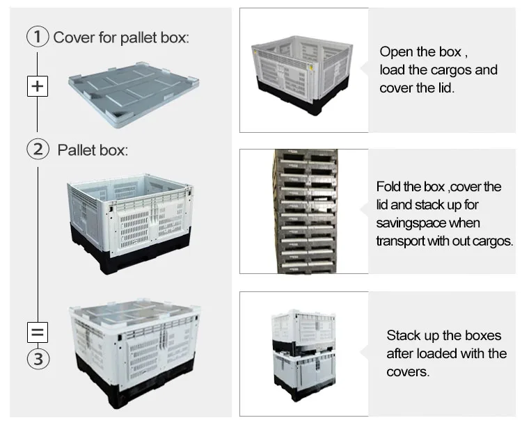 Collapsible Pallet Boxes for Efficient Apple Orchard Management
