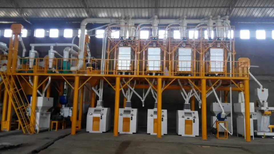 30T Maize Meal Grinding Machine - Efficient Flour Mill