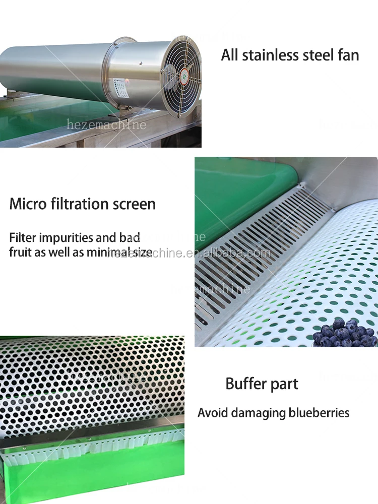 Automatic Blueberry Sorting Machine Auto Blueberries Size Grading ...