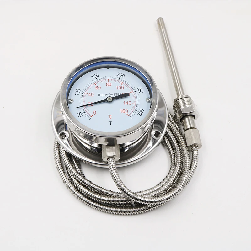 Vibration-resistant Stainless Steel Pressure Thermometer Wtz-280-n 100 ...