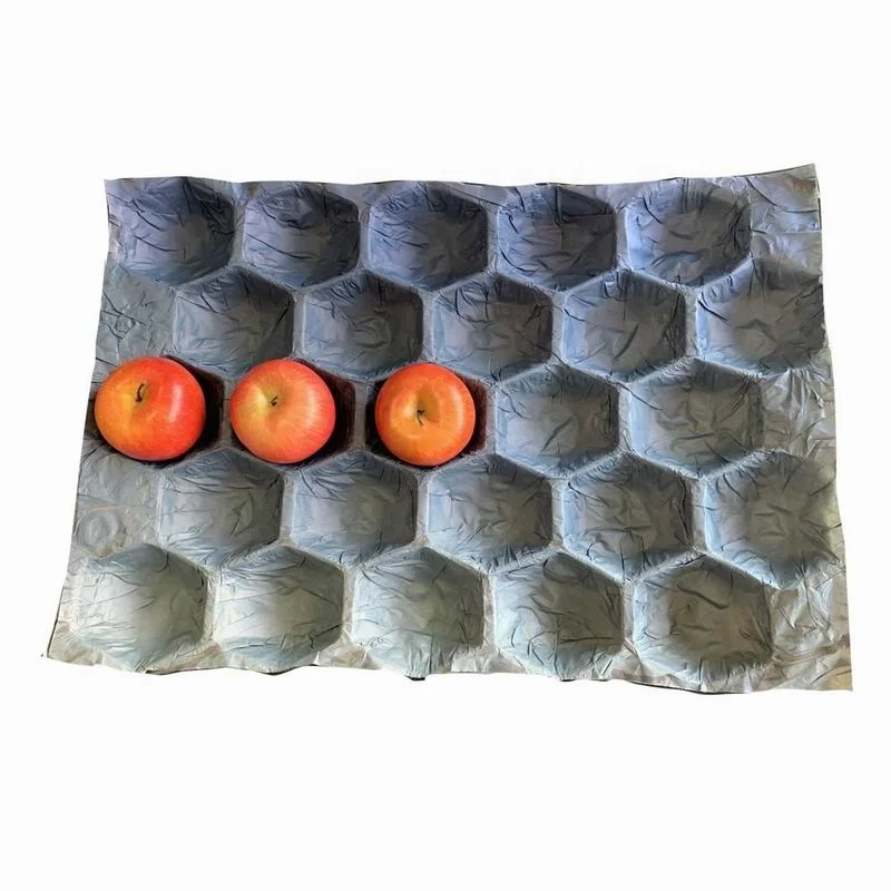 Biodegradable Pulp Fiber Apple Insert Tray - Eco-friendly