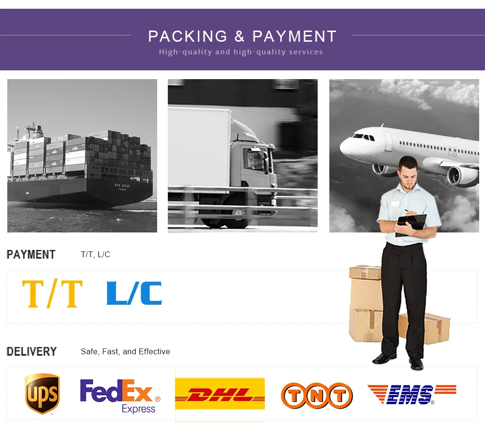 High Quality LED Tail Lights for Scania Truck - OEM Parts