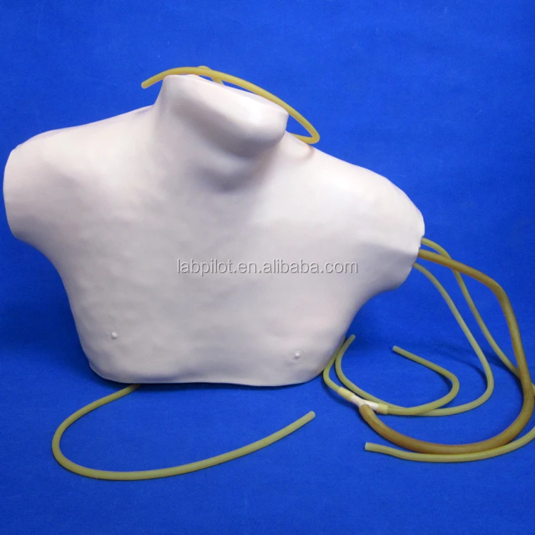 CVC Torso Manikin - Realistic Training for Central Venipuncture