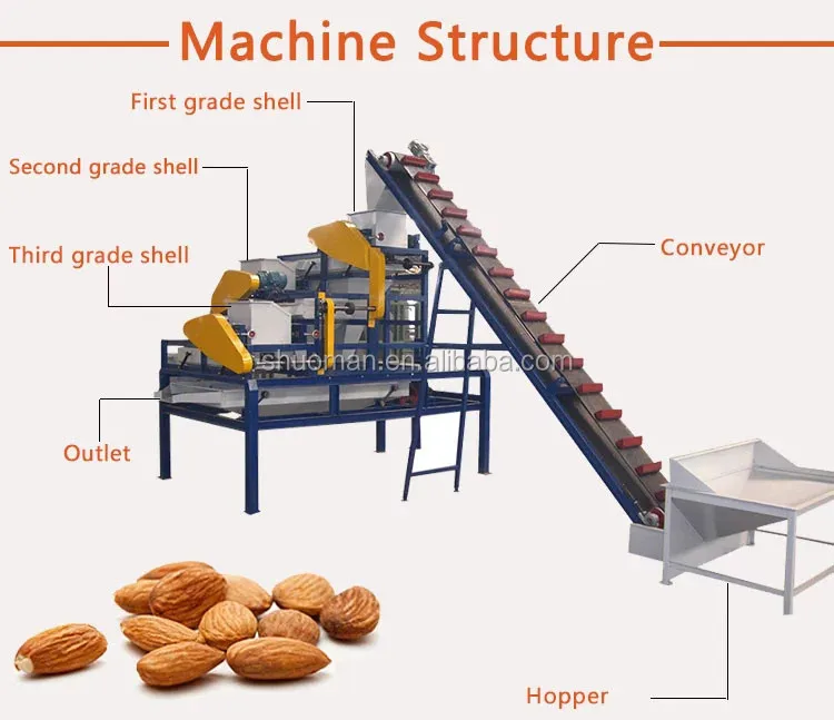 High Efficient Most World Popular Pecan Nut Cracker Machine - Buy Nut ...