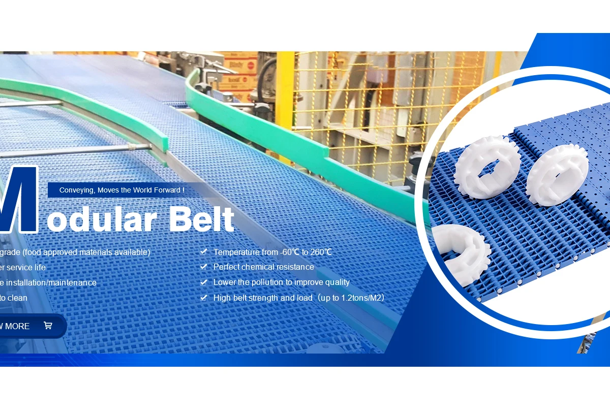 Huanan Xinhai (Shenzhen) Technology Co., Ltd. - Conveyor, Modular ...