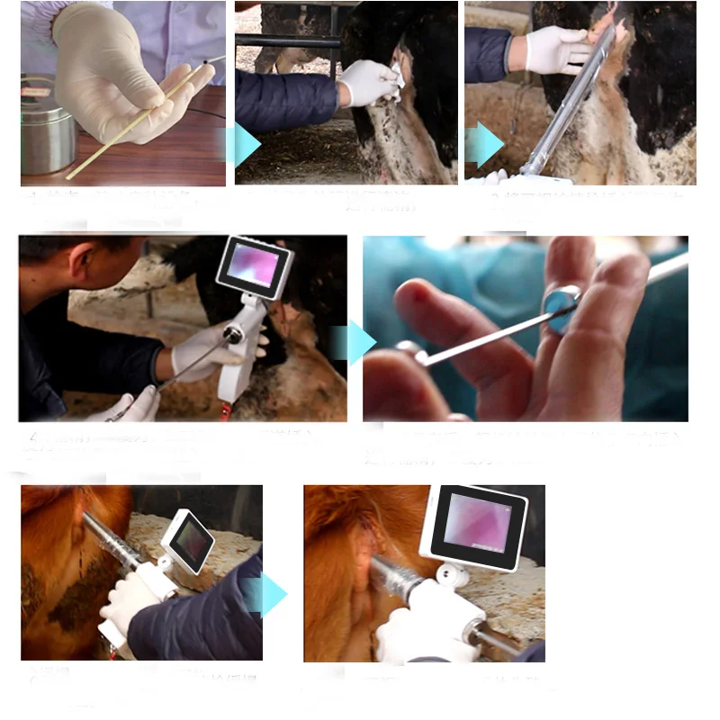 Cows Artificial Insemination Device Cow Visual Endoscope Sperm Gun ...