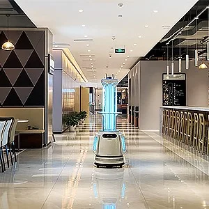 Company Overview - Ubtech Robotics Corp Ltd.