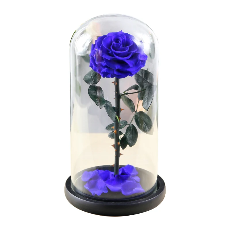 Long Stem Preserved Single Roses Real Life Long Lasting Garden Rose ...