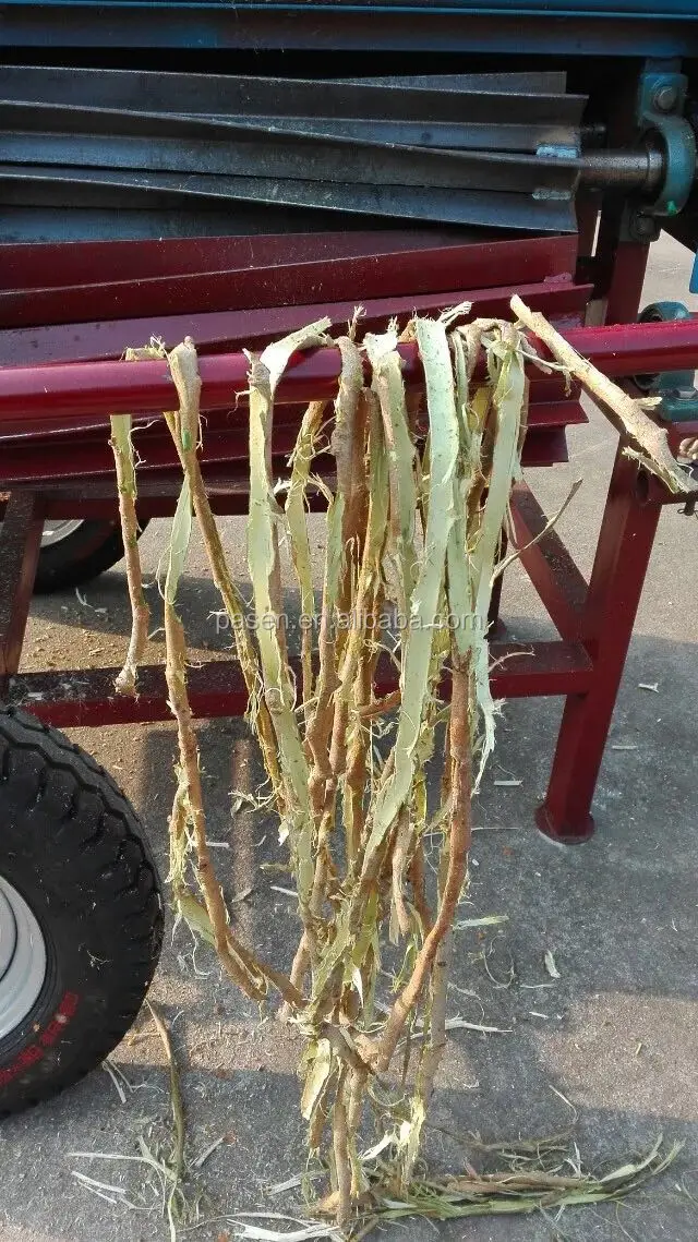 Banana Stem Fiber Extracting Machine Pineapple Fiber Decorticating ...