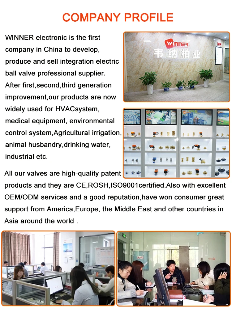 Winner Ball Valves Company Limited - Motorized Ball Valve/Control Ball ...