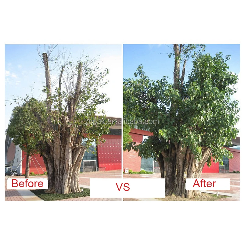 Custom Big Tree Nutrient Solution - Promote Root Growth
