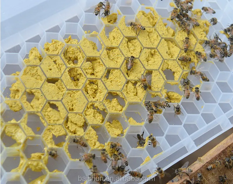 New Type Bee Frame Pollen Feeder for Langstroth Beehives