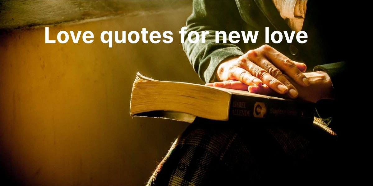 100+ Heartfelt Love Quotes for New Romances