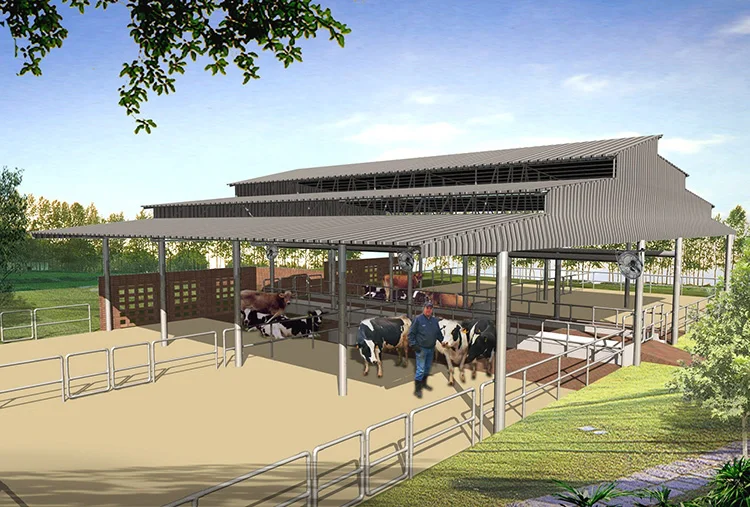 Steel Structures Cow Housing Design for Dairy Cows – Customizable Steel ...