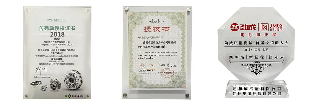 Company Overview - Zhejiang Baiyuan Weihong Trading Co., Ltd.