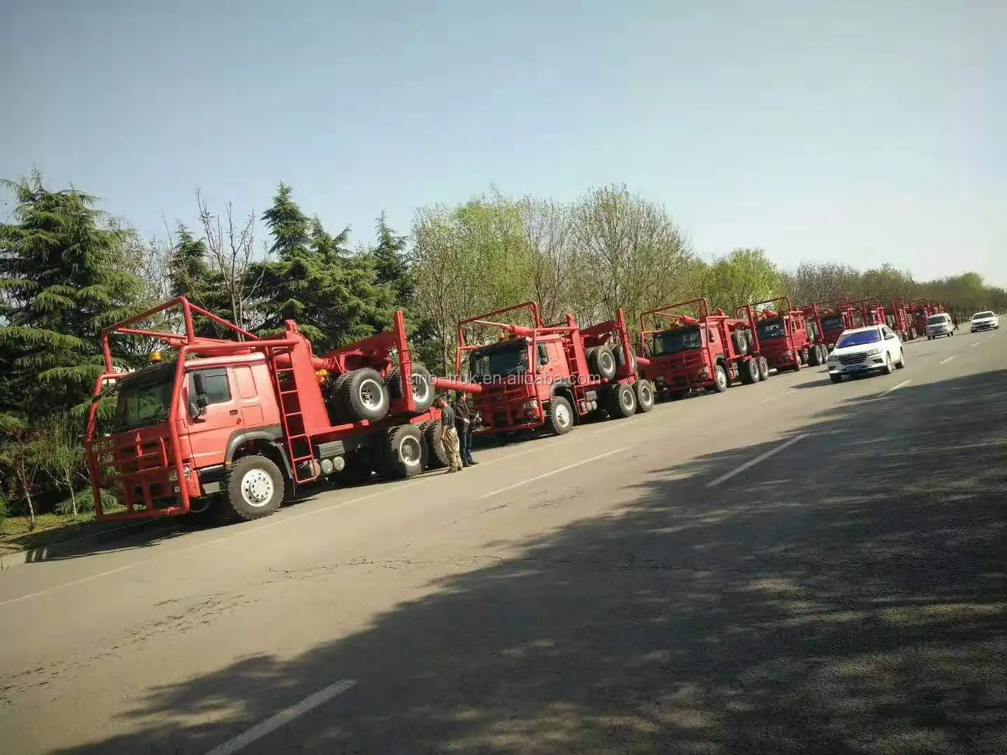 6x6 Sinotruk Howo Wood Transportation Truck - Log Carrier