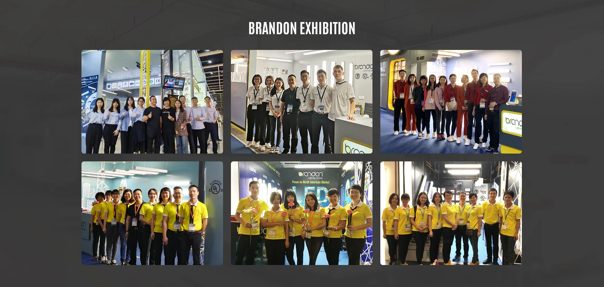Jiangmen Brandon Lighting Co., Ltd.