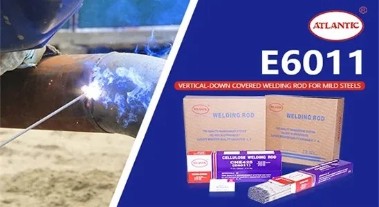 Company Overview - Guangzhou Atlantic Import And Export Co Ltd