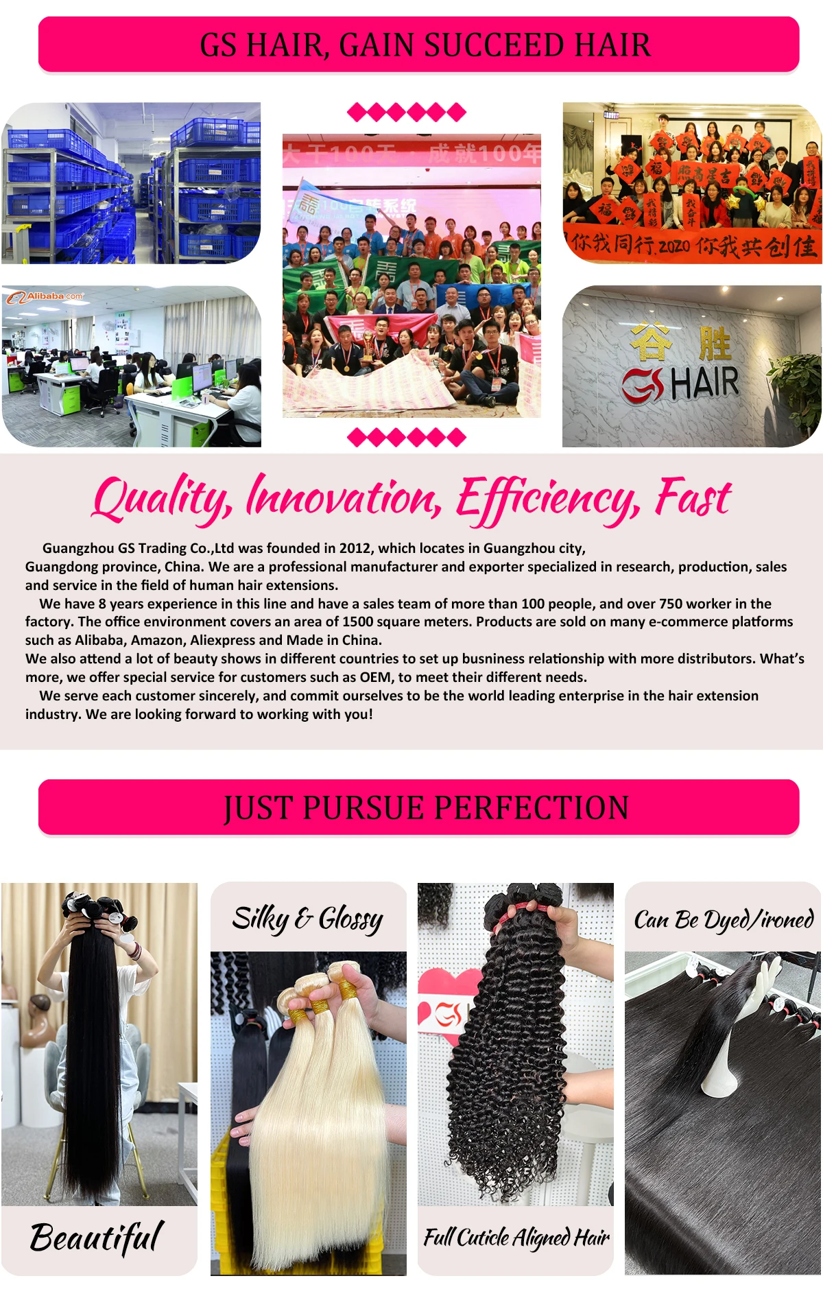 Guangzhou Gs Hair Products Co., Ltd. - Hair Weave/Closures/Frontals ...