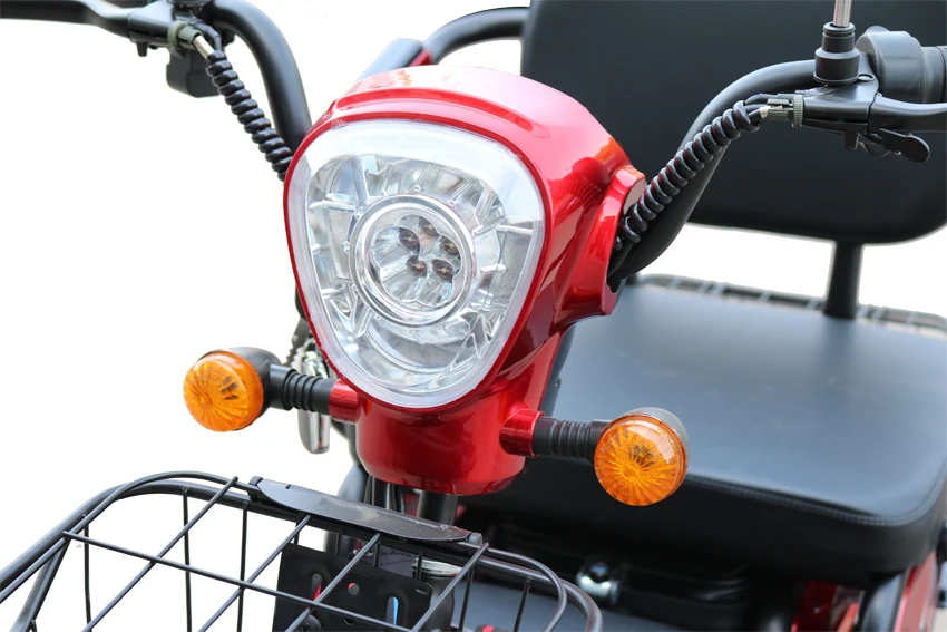 Chang Li 2020 Adult Folding Tricycle - 3 Wheel Electric Bike