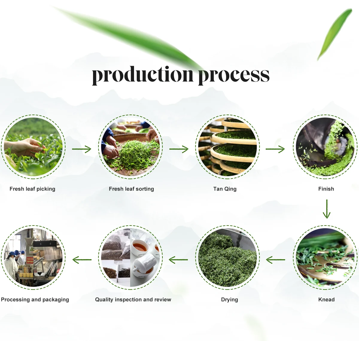 Company Overview - Hunan Hongda Tea Co., Ltd.