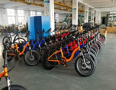 Changzhou CNEBIKES Co., Ltd. - Electric Hub Motor/Electric Bike Kit ...