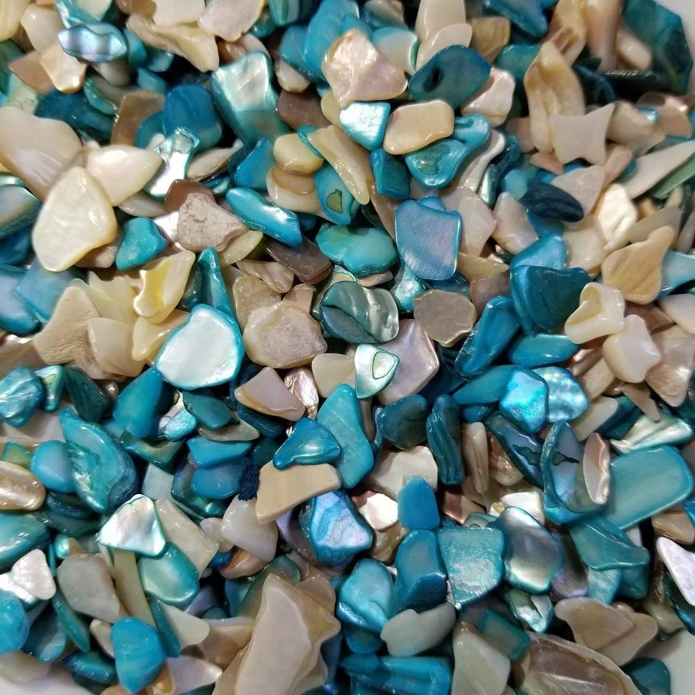 Colorful Shell Chips DIY for Natural Shell Crafts| Alibaba.com
