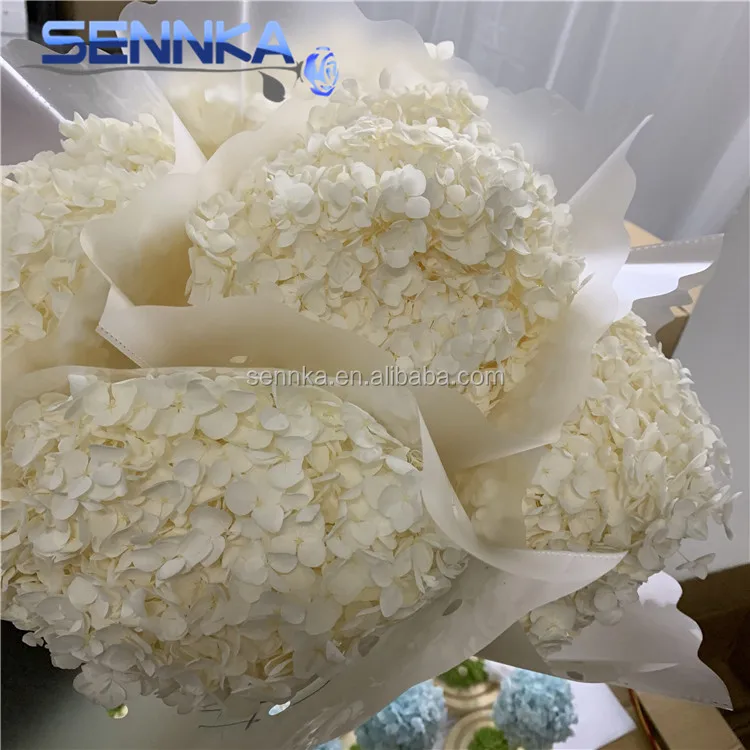 Preserved Long Stem Hydrangea Flowers Cut Fresh Flower For Wedding ...
