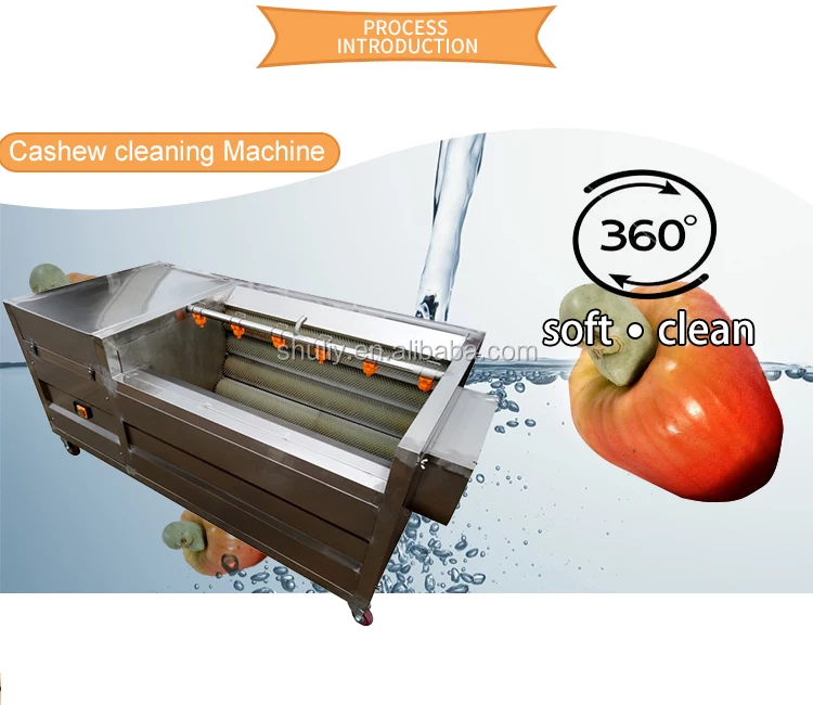 Shuliy Cashew Nuts Processing Machine - Efficient & Durable