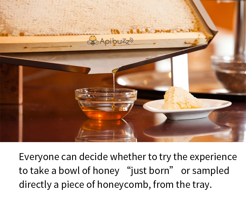 SS Honeycomb Frame Display Stand - Apiculture & Catering