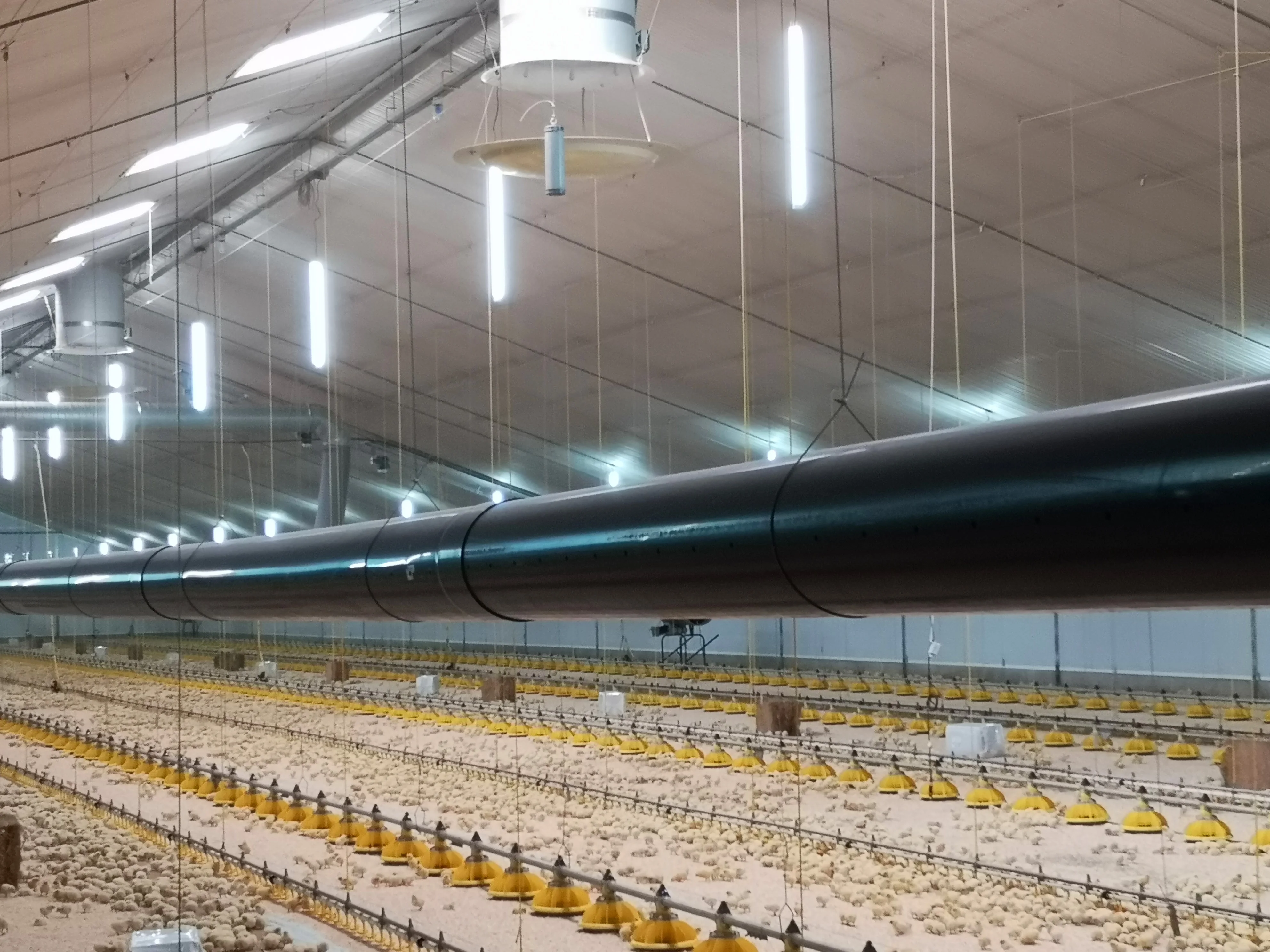 6pcb Design 360 Degree Viewing Angle Led Tube Poultry Farm Light ...