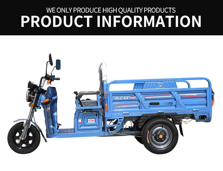 High Power 48V Electric Tricycle for Heavy Agricultural Freight ...