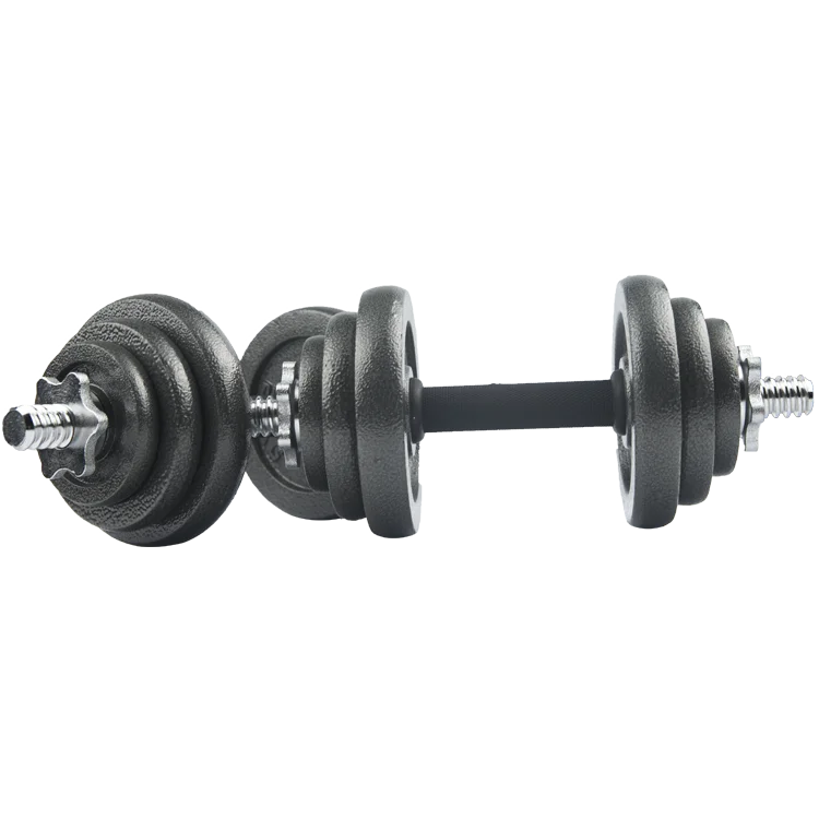 Altere Pesasp De Gym Equipment Kit Manubri Palestra Custom Chrome ...