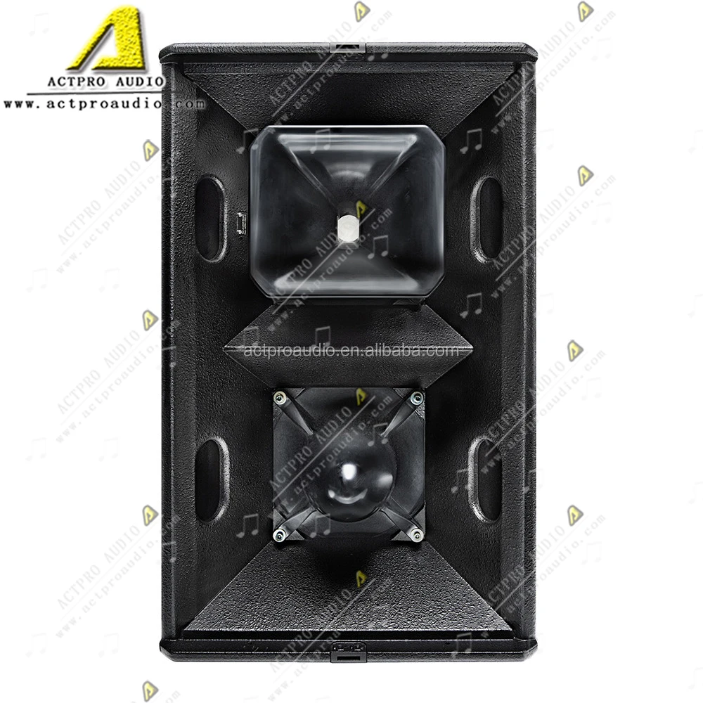 T24N Dual 12 Inch Line Array B30 Subwoofer - 2800W Power
