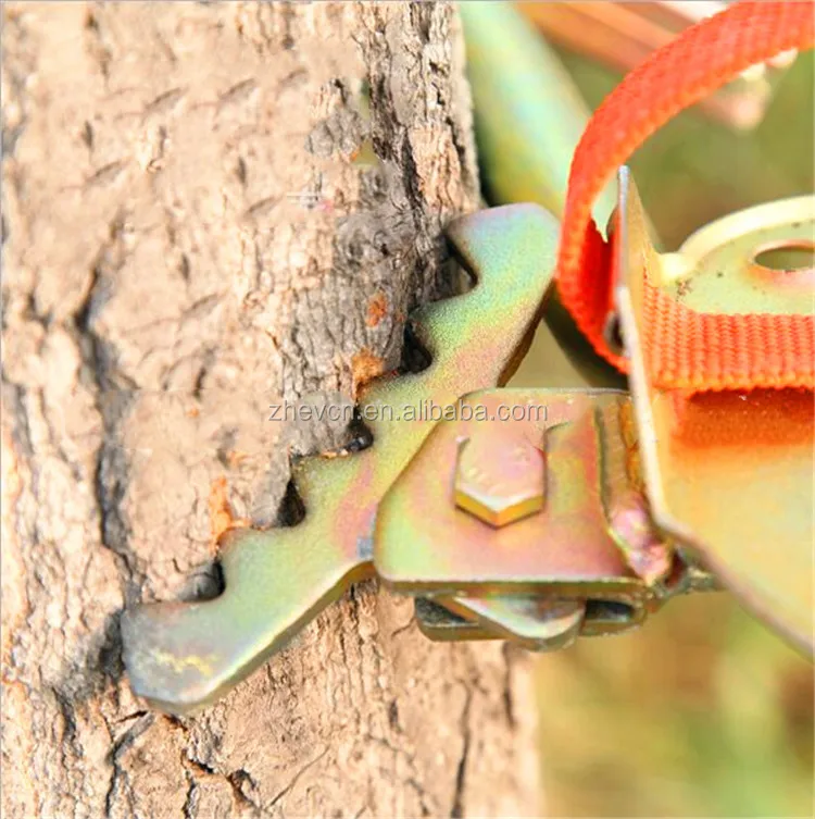 Steel Type Wooden Pole Climber Spikes for Tree Climbing