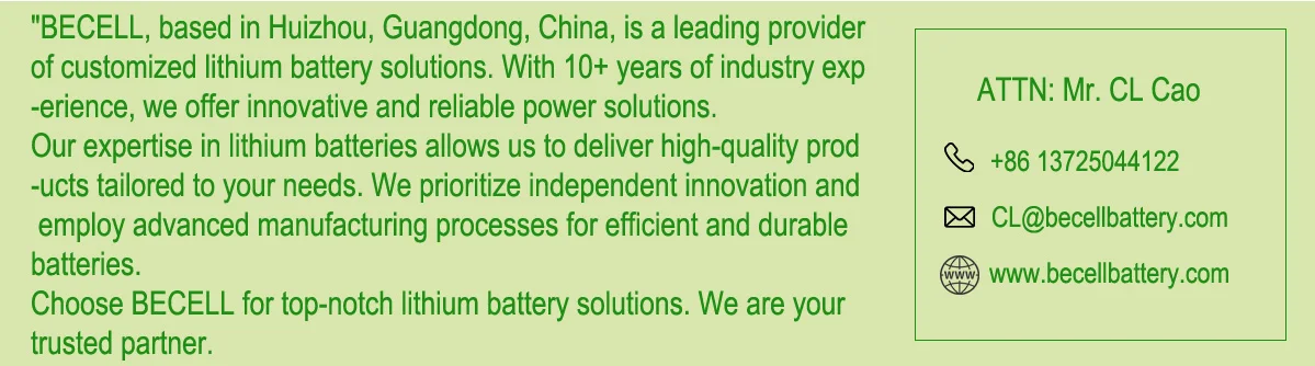 Company Overview - Huizhou Becell Technology Co., Ltd.