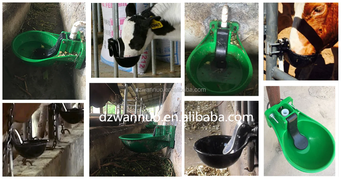Wholesale Livestock Automatic Cattle Cow Drinking Water Bowl Cast Iron ...