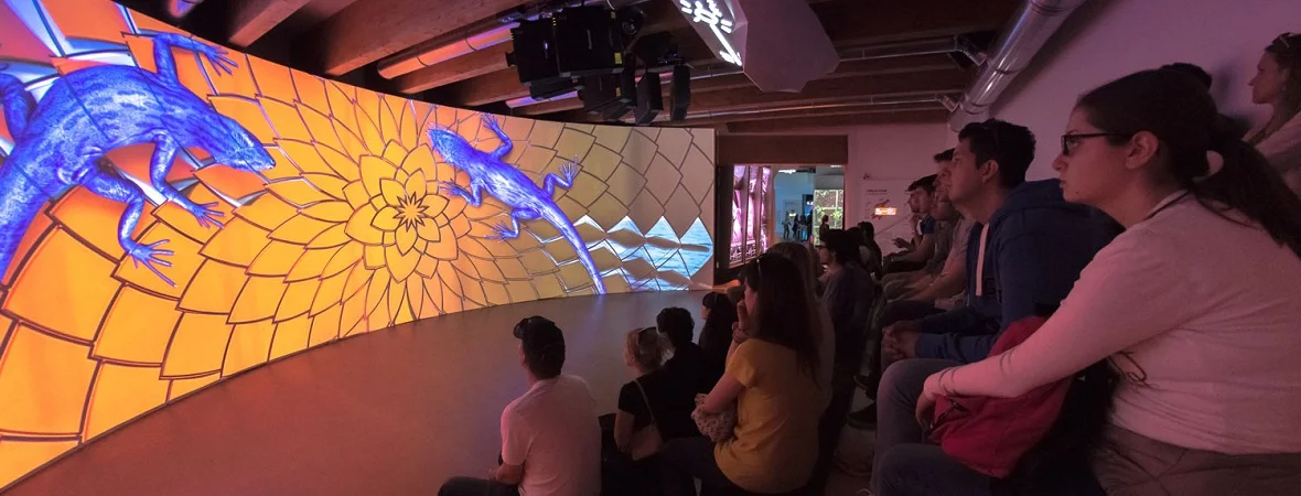 Smax Curve Cinemascope Fixed Frame Screen for Home Theater