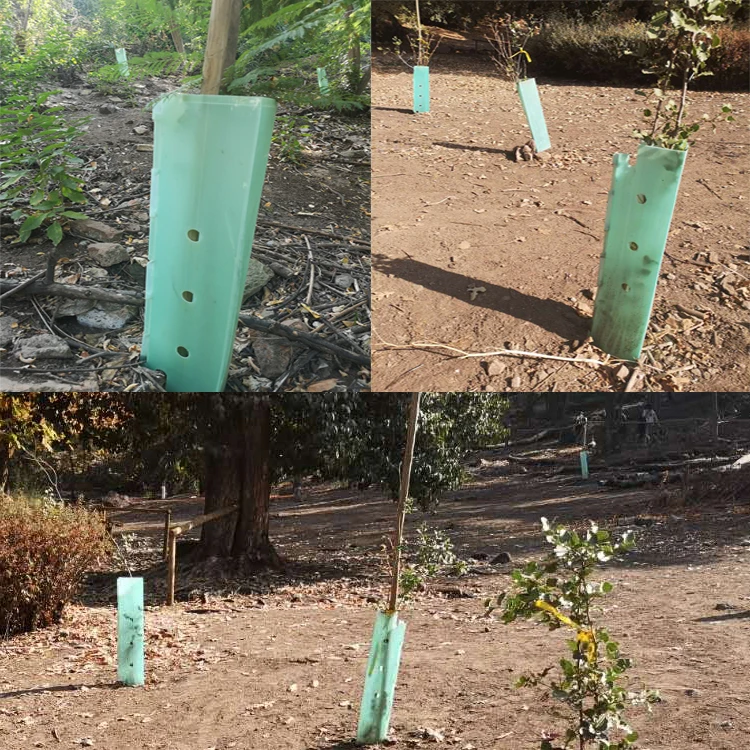 Polypropylene High Uv Ventilated Tree Tube Protectors - Buy Tree ...