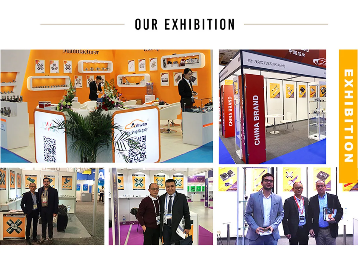 Hangzhou Aelwen Auto Parts Co., Ltd. - Steering Rack, Door Lock Actuator