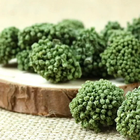 Natural Chinese 100% Pure Health Dried Notoginseng Sanchi Flower Tea ...