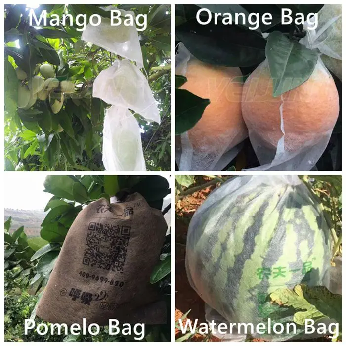 Spring Summer Autumn Agricultural Orchards Netbag Fruit White Non Woven ...