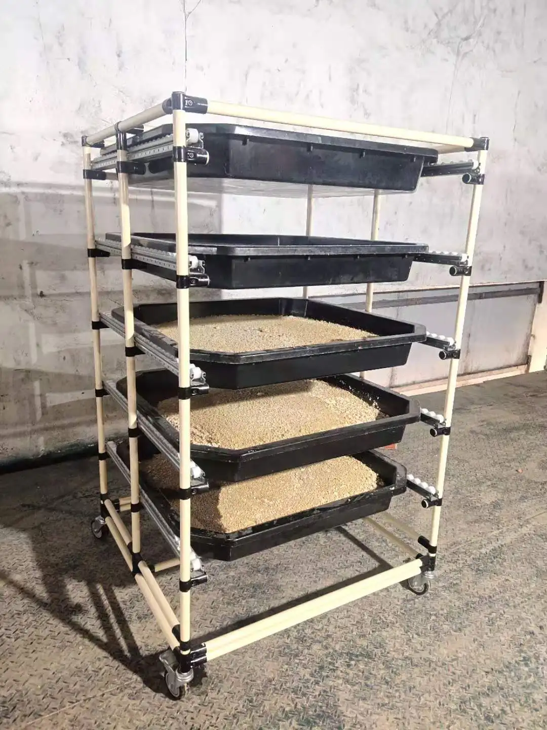 Black Soldier Fly Larvae Plastic Breeding Box 12cm Heigh Fiberglass ...