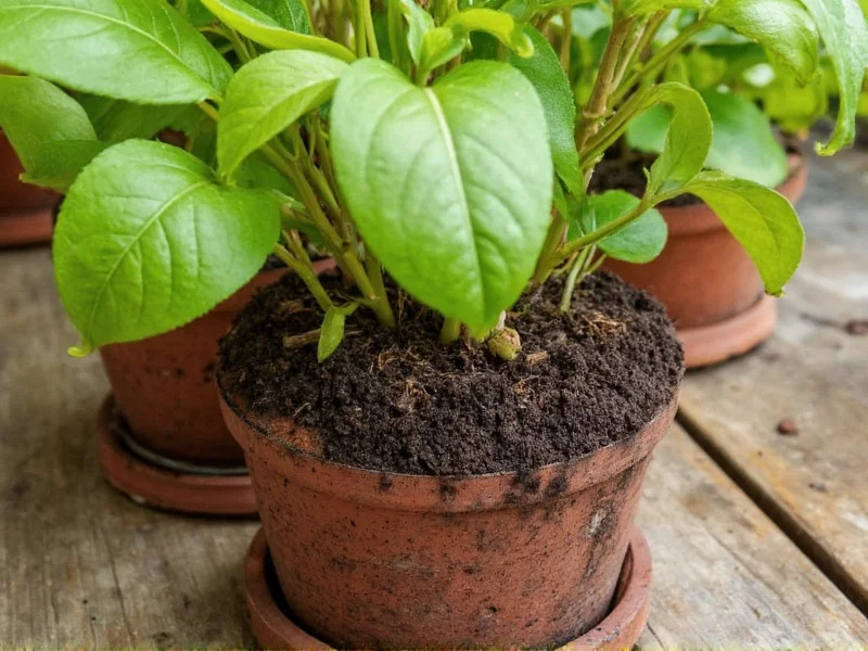 How to Get Rid of Root Rot: Complete Treatment Guide