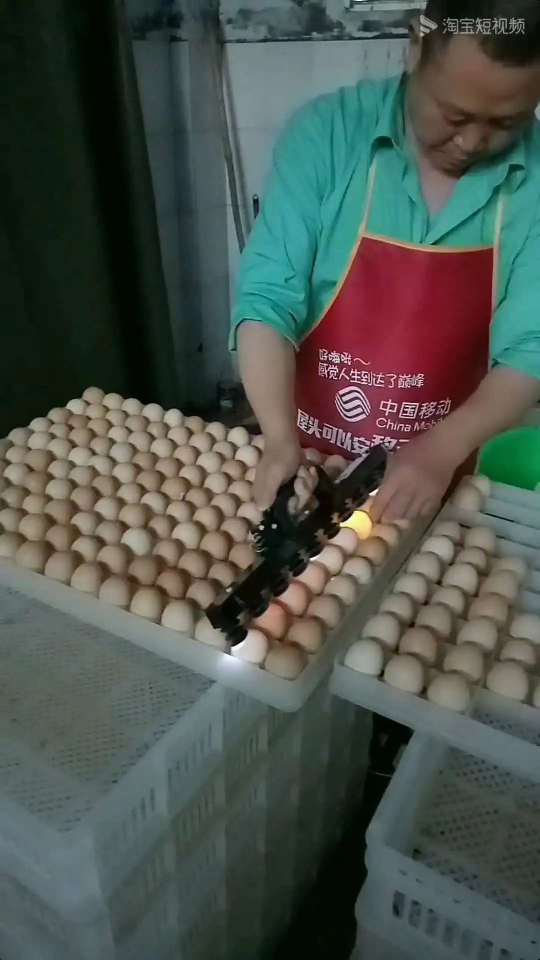 Hot Selling Best Professional Chicken Goose Duck Egg Candler Tester Led ...