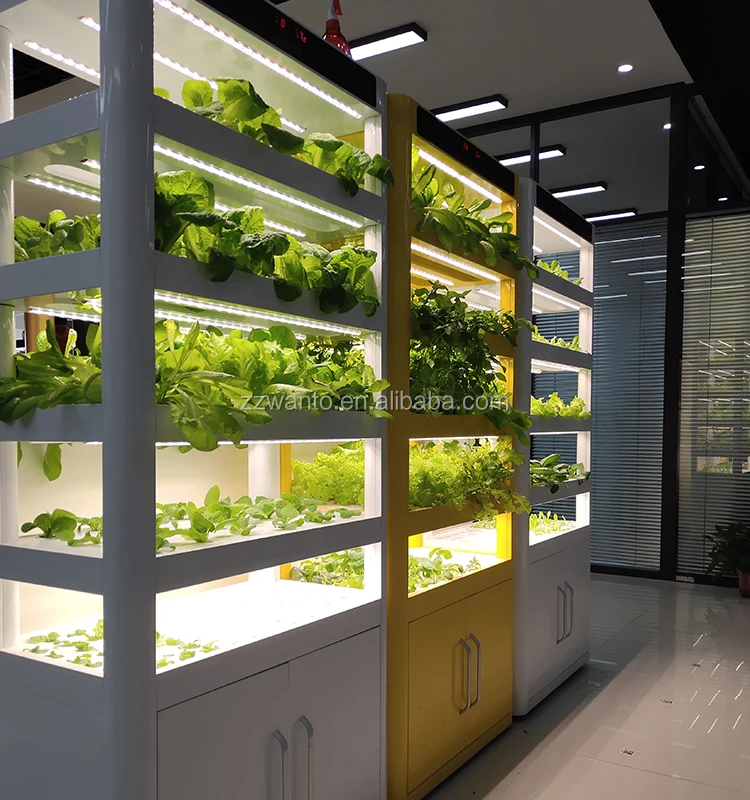 Efficient Hydroponic Grow Systems - Eco-Friendly & Automatic