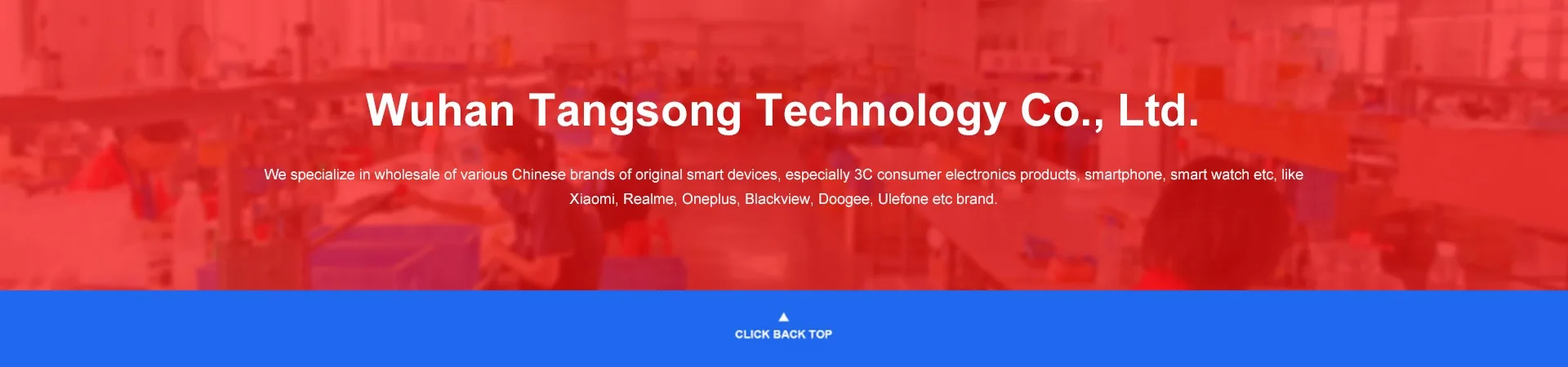 Wuhan Tangsong Technology Co., Ltd. - mobile phone, tablet