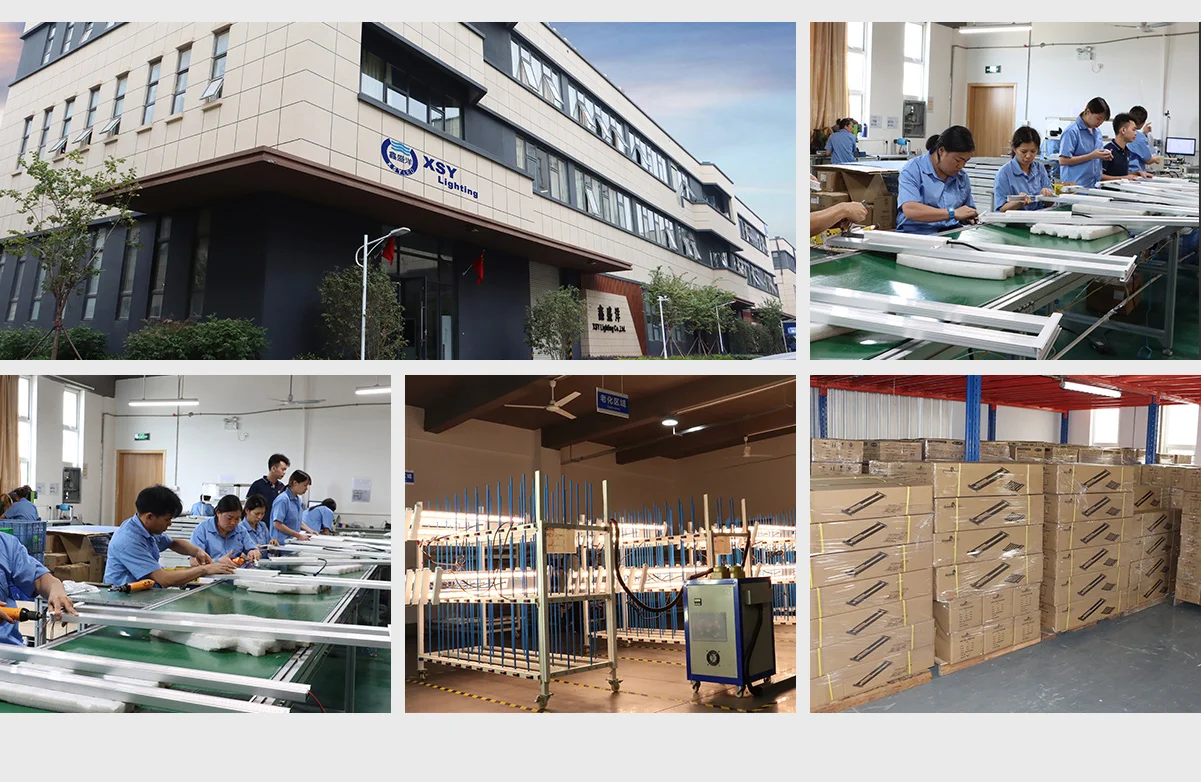 Company Overview - Shenzhen XSY Lighting Co., Ltd.